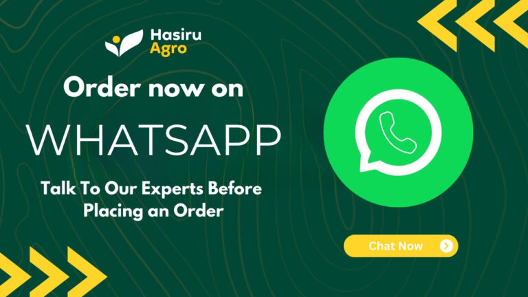 Tabebuia rosea - Hasiru Agro