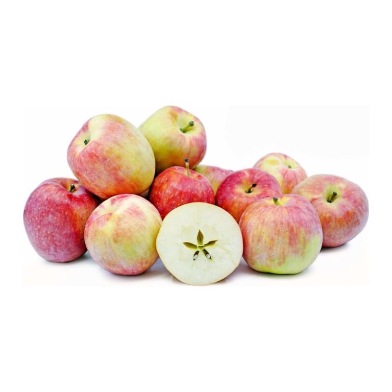 Buy Healthy Plants Online | Hasiru Agro