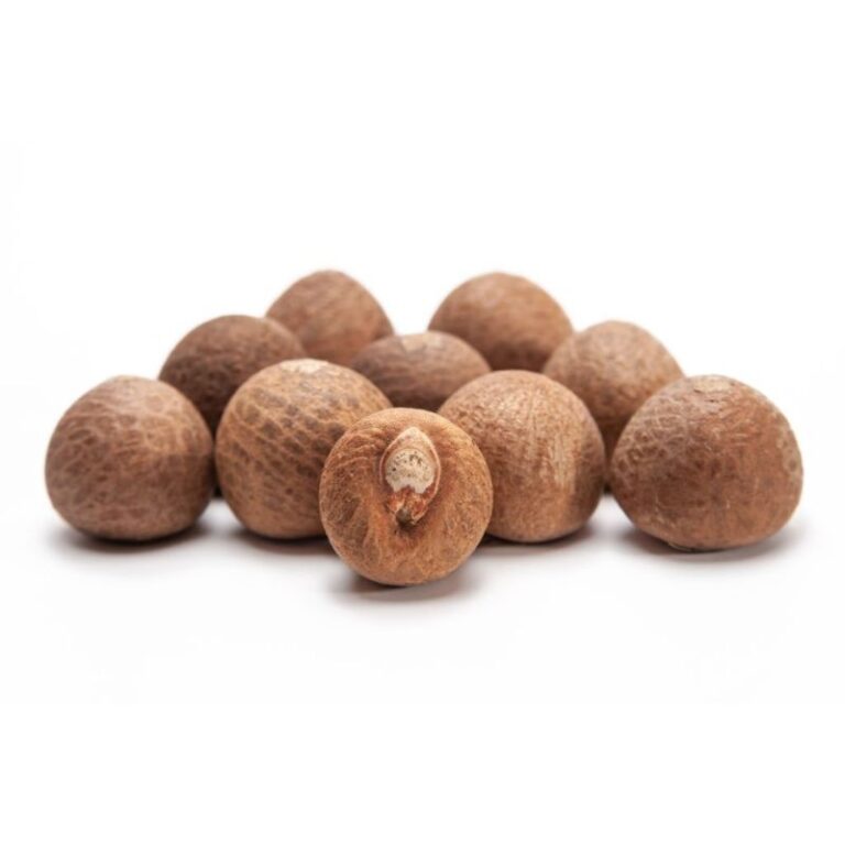 Buy Healthy Plants Online | Hasiru Agro