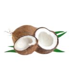 Coconut Tiptur Tall - Hasiru Agro