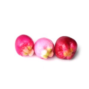 Lilli Pilli - Hasiru Agro