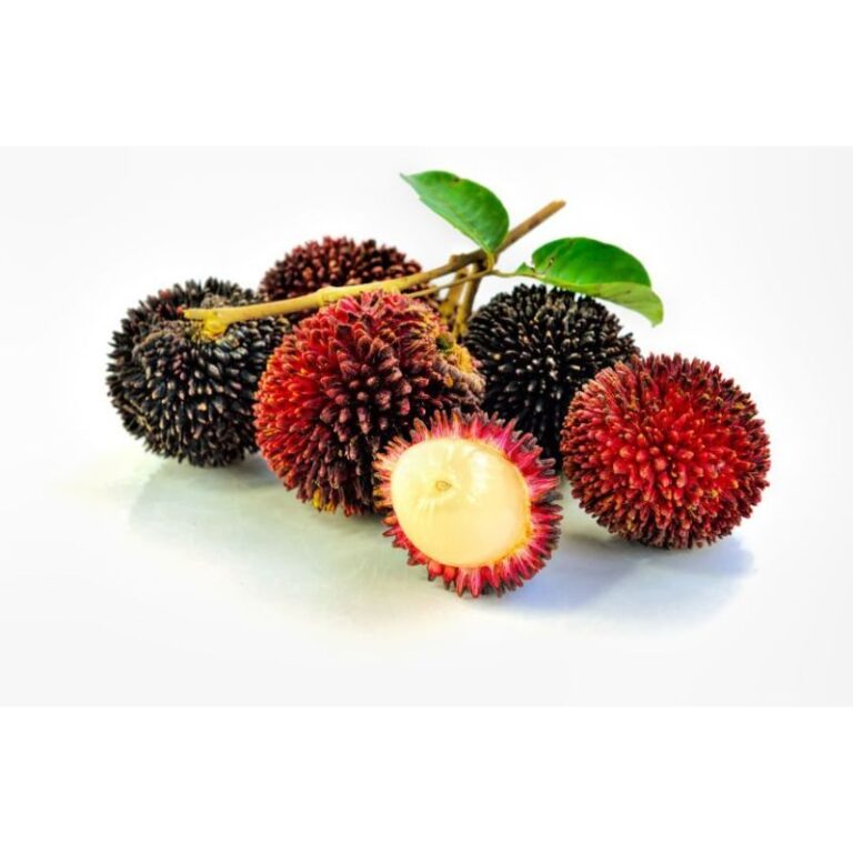 Pulasan - Hasiru Agro