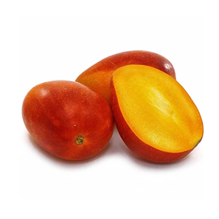 Buy Miyazaki Mango Plant Online | Premium Japanese Mango