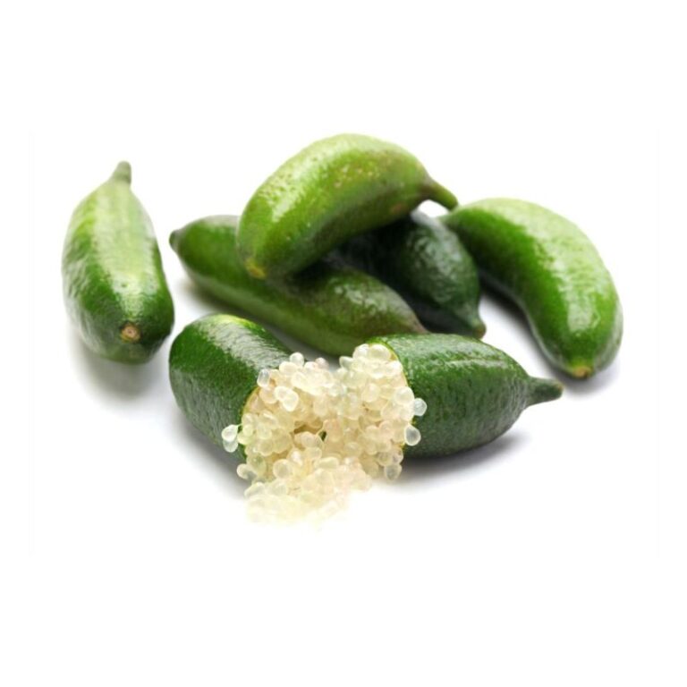 Finger lime - Hasiru Agro
