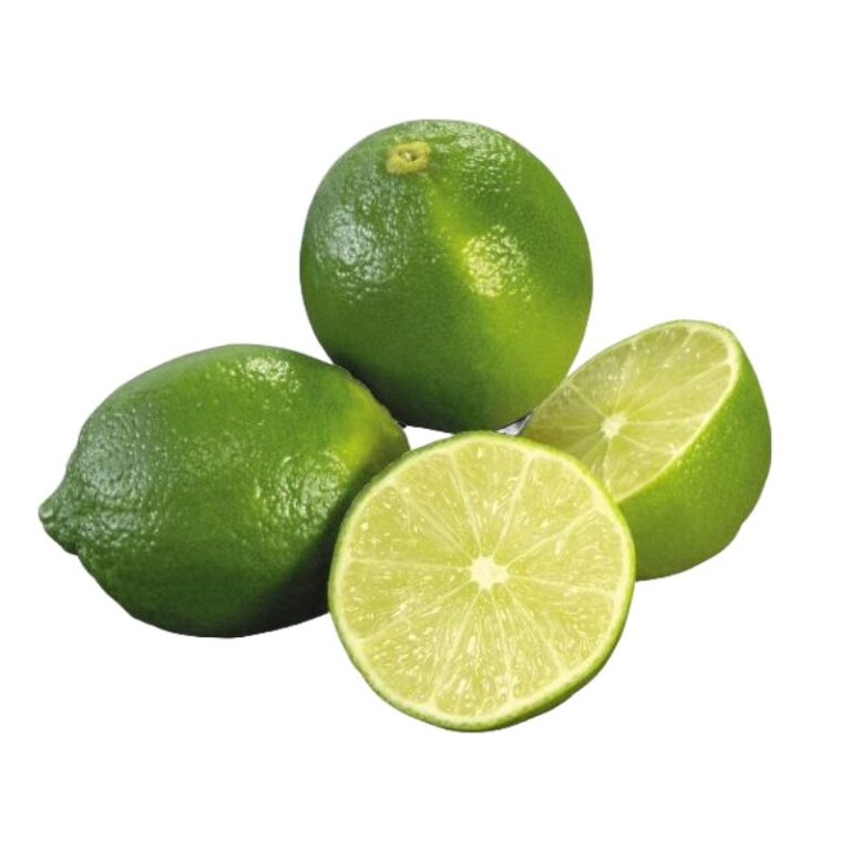 Lemon Tree - All Season Kagzi - Hasiru Agro